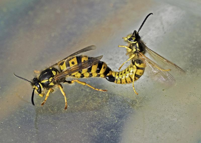 Smethwick Exhibition gallery | Hereford SA Photography Club